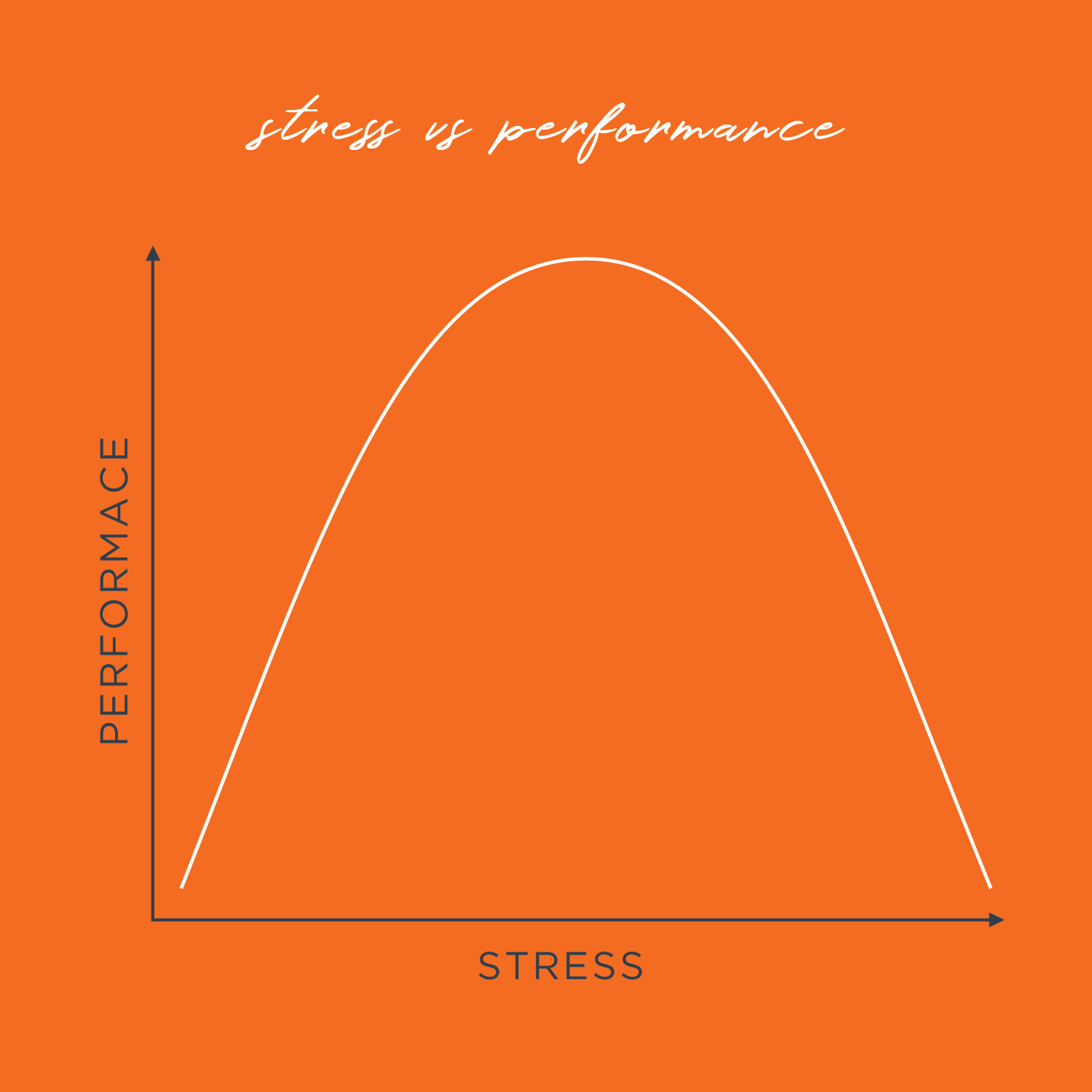 How To Get Into The Peak Performance Zone | Quantum Orange