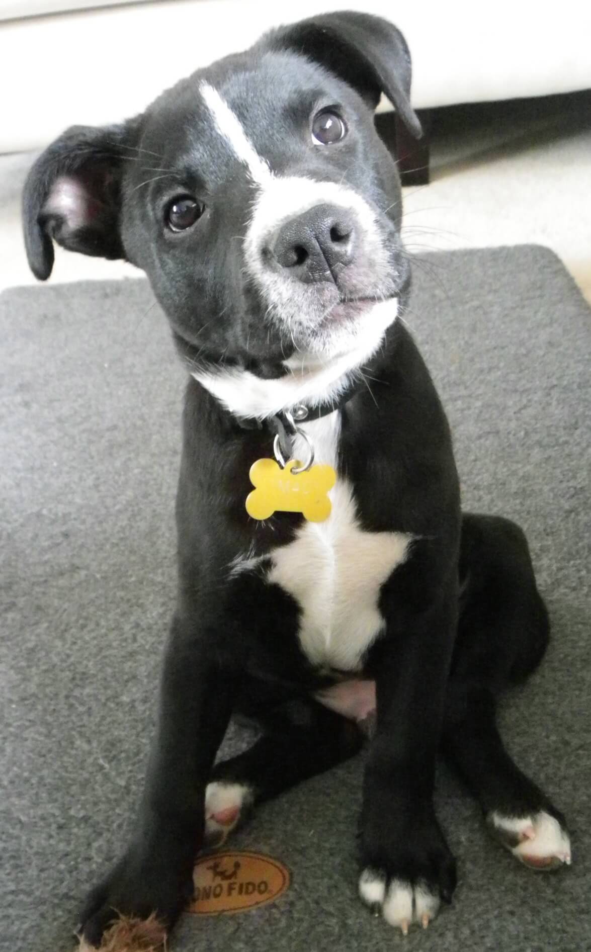 Why You Need A Personal Success Routine | Quantum Orange